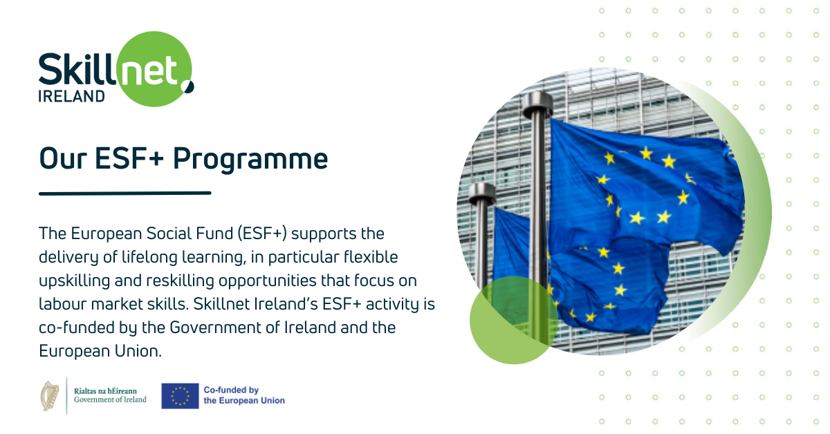 Our ESF+ Programme | Skillnet Ireland