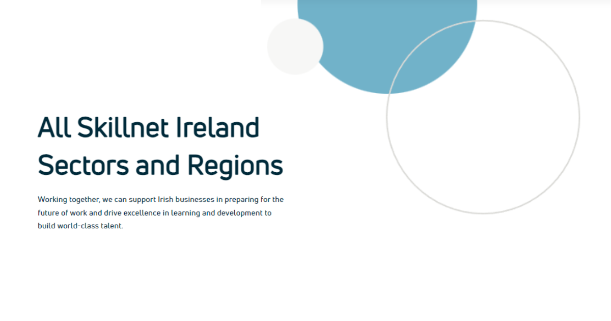 All Skillnet Ireland Sectors and Regions | Skillnet Ireland