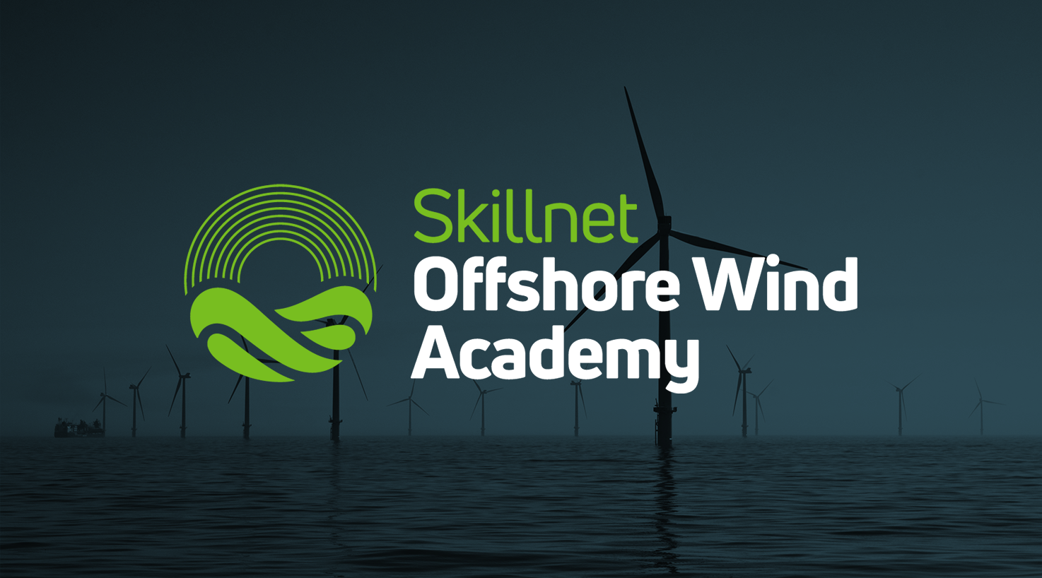 Building Competitiveness Through Skills | Skillnet Ireland